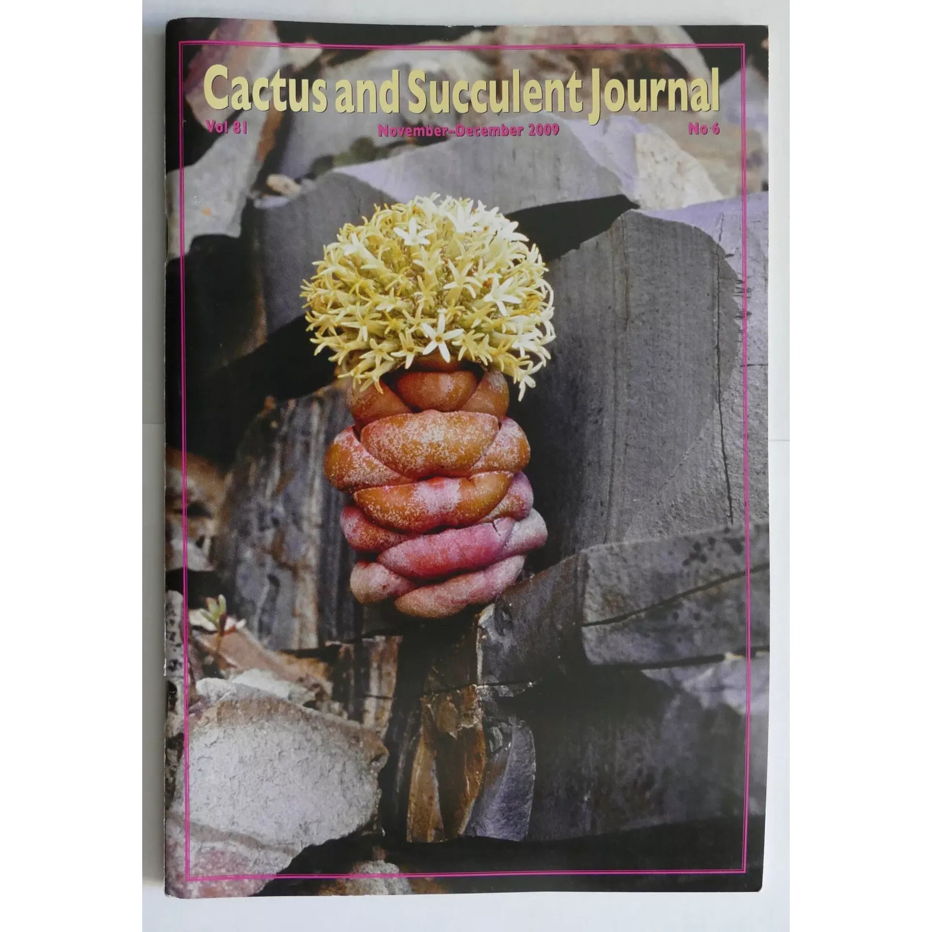 Cactus & Succulent Journal | Botanical Archive | Buy From Our Archive